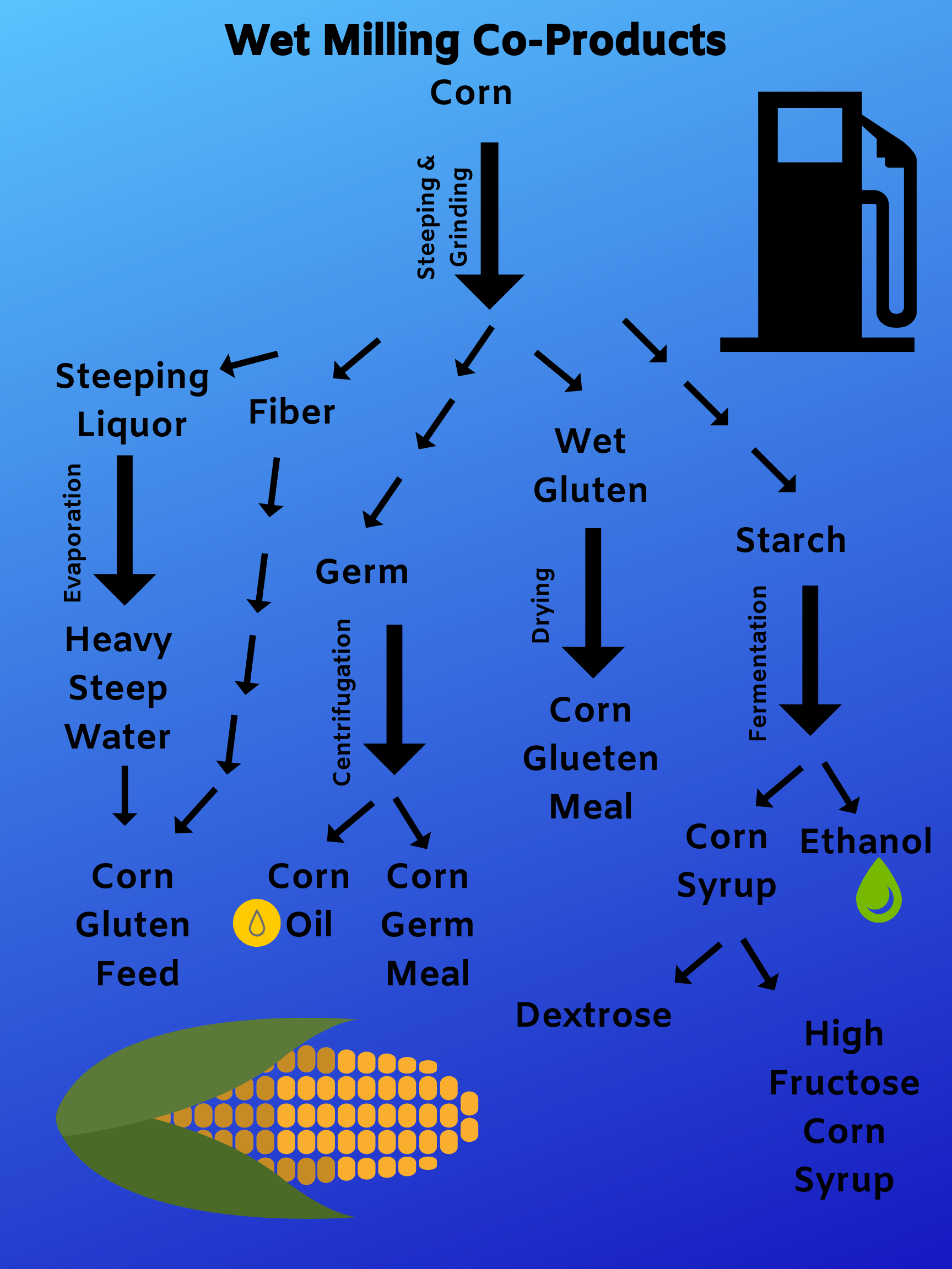 Ethanol Co-Products for Animal Feed - Ward Laboratories, Inc.