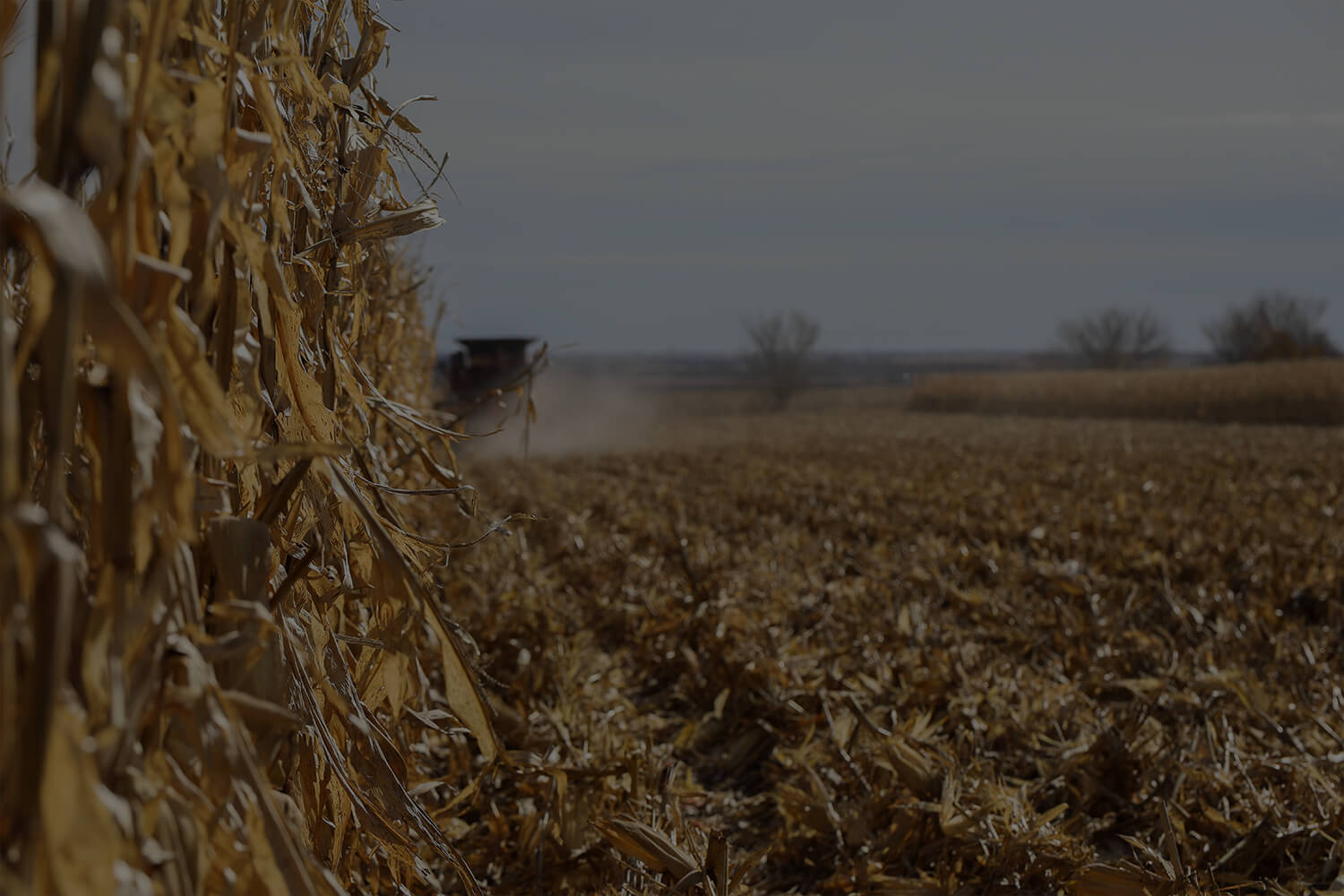 Home - Ward Laboratories, Inc.