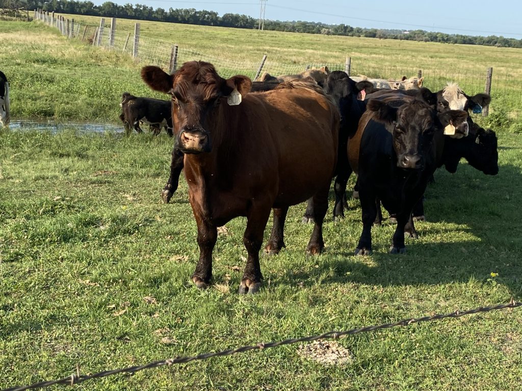 Blog - Ward Laboratories, Inc.